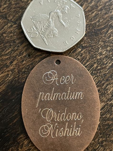 Tree Tags UK Stainless Steel Tree Labe L Poppins Plants