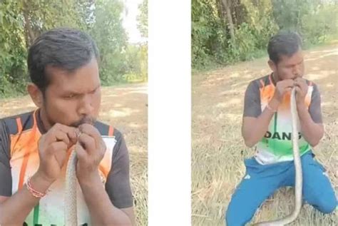 Ular Hidup Semula Selepas Lelaki Beri Cpr Selama 30 Minit Sinar Harian