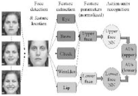 Figure 1 From Recognizing Lower Face Action Units For Facial Expression Analysis Semantic Scholar