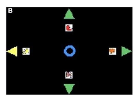 Graphical Interface Of The Reference P300 Based Bci [13] The Four Download Scientific Diagram