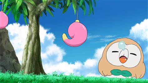 Currying Favor And Flavor Pokémon Tv