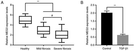 Long Non Coding Rna Meg3 Expression Level Is Associated With The Download Scientific Diagram