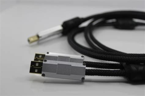 IFi Micro Gemini Dual Headed USB Cable Analogue Seduction