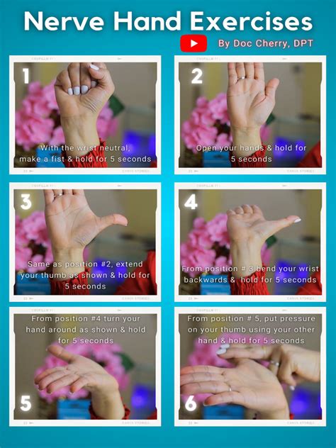 Nerve Glide Exercises Pdf Nerve Glide Exercises Pdf