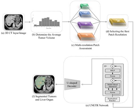 230816598 Towards Optimal Patch Size In Vision Transformers For Tumor Segmentation