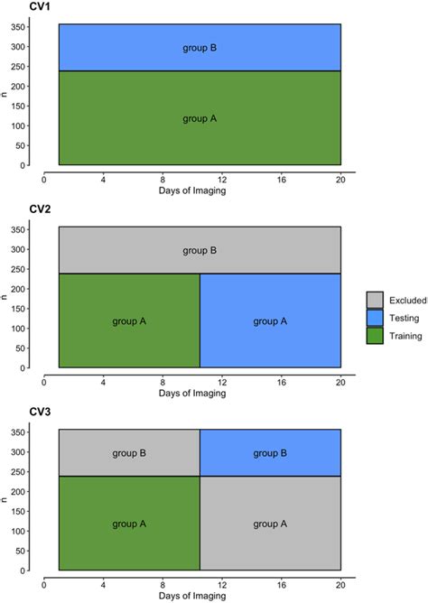 graphic representation of cross‐validation schemes for genomic