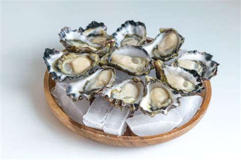 Sydney Rock Oyster Stock Photo Image Of Oyster Prepared