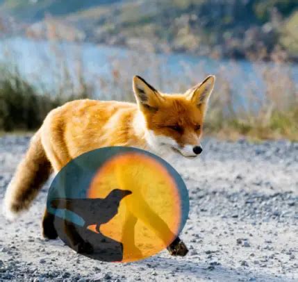 Pasting Merging Blending Images With Python PIL HolyPython