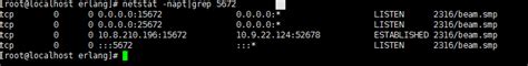 rabbitmq 管理 及 常用命令 rabbitmq命令行 csdn博客