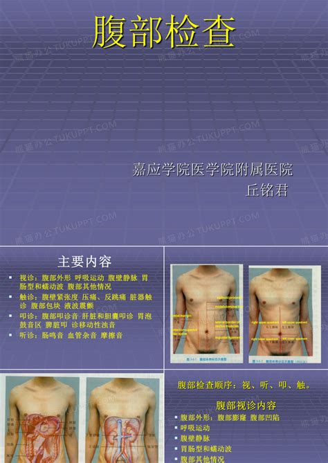 腹部检查PPT模板下载 编号qezjgkra 熊猫办公