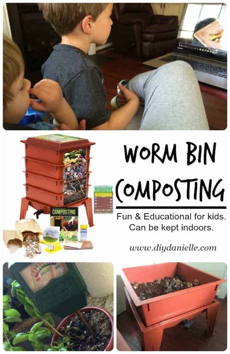 Learn About Worm Composting DIY Danielle