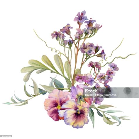 손으로 그린 수채화 그림 식물 꽃 잎 연보라 팬지 비올라 바이올렛 버드나무 유칼립투스 가지 베르게니아 헬리오트로프 폐초 덩굴손 꽃다발은 흰색을 분리했습니다 디자인 웨딩 카드