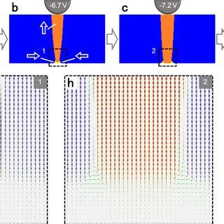 Phase Field Simulations Of Electric Field Control Of Nucleation And Download Scientific Diagram