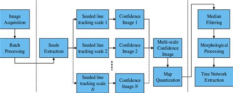 process flow of h mslta for electrical tree segmentation download scientific diagram