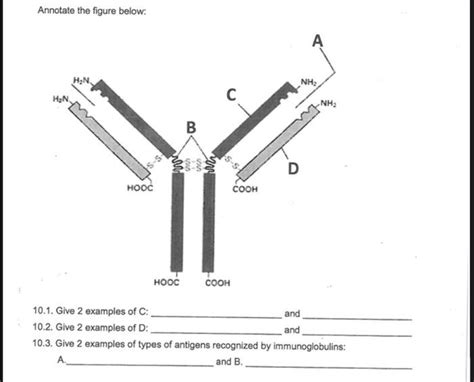 Solved Annotate The Figure Below 10 1 Give 2 Examples Of Chegg Com