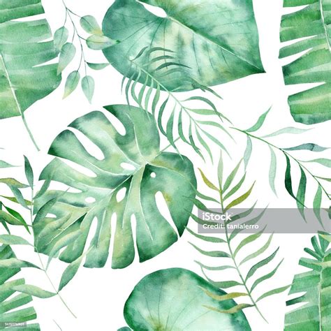 열대 잎을 가진 수채화 이음새가 없는 무늬 야자수 괴물 손으로 그린 이국적인 식물이있는 아름다운 올오버 프린트 0명에 대한 스톡 벡터 아트 및 기타 이미지 Istock