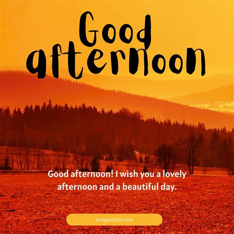 25 Best Good Afternoon Images Wishes And Quotes Imageszilla