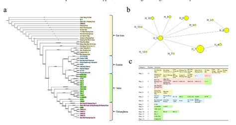 Phylogenetic Analysis And Species Delimitation In Cucumbers A The Ml Download Scientific