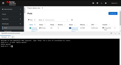 Explore The Full Capabilities Of The Web Terminal Operator Red Hat