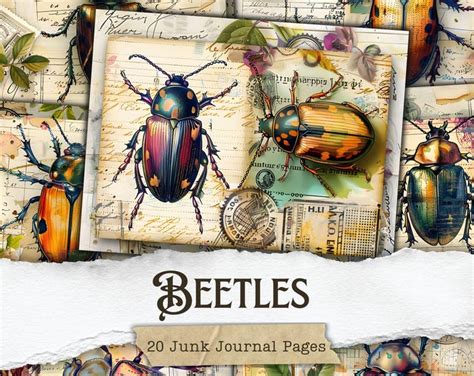 Cute Isopod Bug Keeper Memo Pad Kawaii Cute Memo Pad Forest Insect Notepad Woodsy Journal