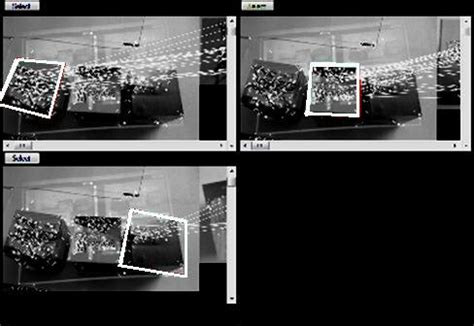 Multi Object Detection Download Scientific Diagram