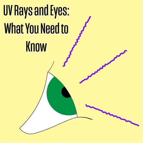 Uv Rays And Eyes What You Need To Know Knoxville Tn