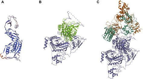 A Novel Variation In Depdc5 Causing Familial Focal Epilepsy With