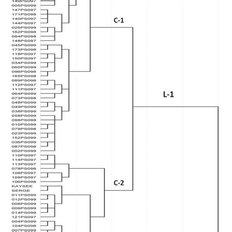 A Dendrogram Of Pea Accessions Constructed Using Upgma Based On