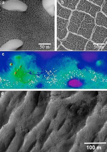 A Typical Thermal Contraction Polygons Tcps On Mars And Comparison Download Scientific