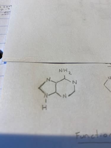 Biochem Exam 1 Flashcards Quizlet