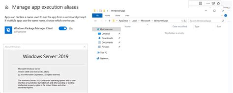 Missing Winget Exe On Server 2019 Install · Issue 754 · Microsoft Winget Cli · Github