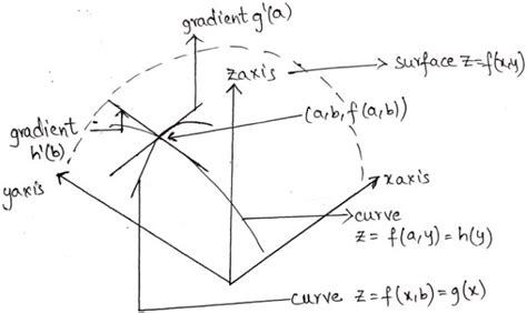 functional dependence partial differentiation questions and answers
