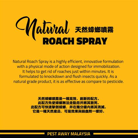 Pest Asia Natural Ant Killer Spray Roach Killer Spray Bug Killer