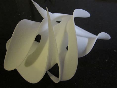 Vampire Squid Morphology On Behance