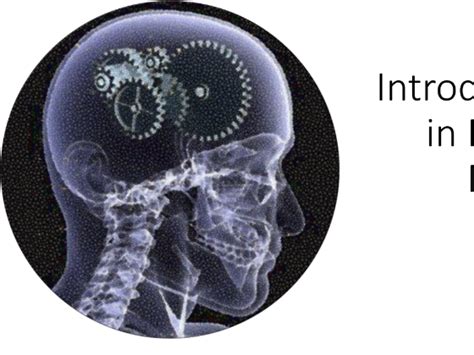 The Working Memory Model Teaching Resources