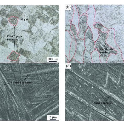 Microstructure Of Slm Specimen Ac Cross Section Bd Longitudinal
