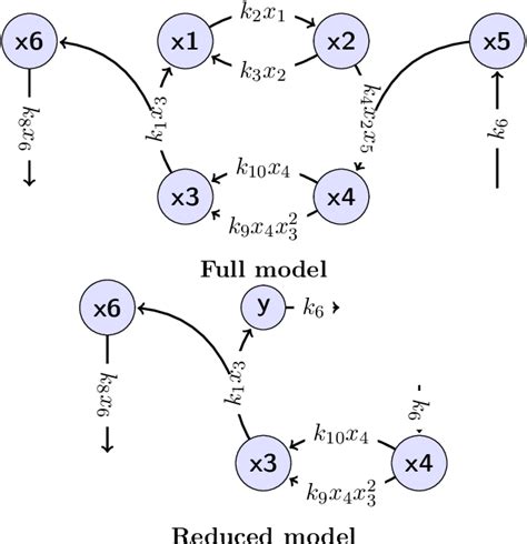 Figure 1 1 From Analysis Of Biochemical Reaction Networks Using Tropical And Polyhedral Geometry