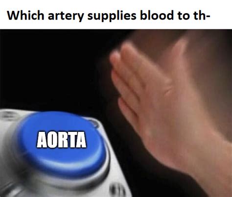 Meme 100 Accuracy 0 Precision Rmedicalschool