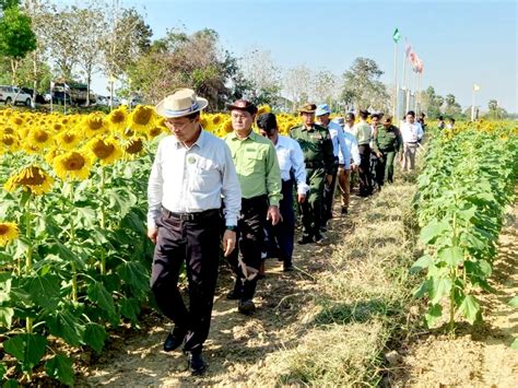 ဧရာဝတီတိုင်းဒေသကြီးအစိုးရအဖွဲ့ ဝန်ကြီးချုပ်နှင့် အဖွဲ့ဝင်များ သာပေါင်းမြို့နယ်၌ နေကြာအောင်မြင်ဖ