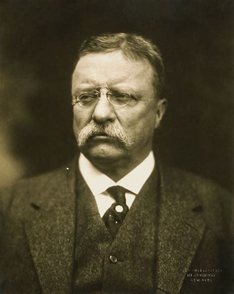 Theodore Roosevelt Alchetron The Free Social Encyclopedia