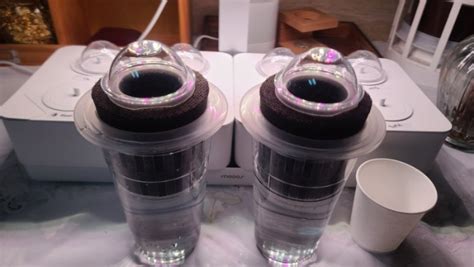 완두콩 키우기 키트 강낭콩 수경재배로 키우는 방법 씨앗발아 네이버 블로그 완두콩 키우기 키트 강낭콩 수경재배로 키우는 방법 씨앗발아 네이버 블로그