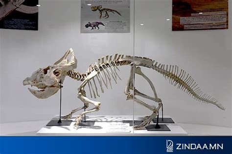 Он гарснаас хойш хууль бусаар археологийн малтлага хийсэн хоёр хэрэг гарчээ