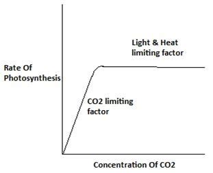 Limiting Factors In Photosynthesis The A Level Biologist Your Hub