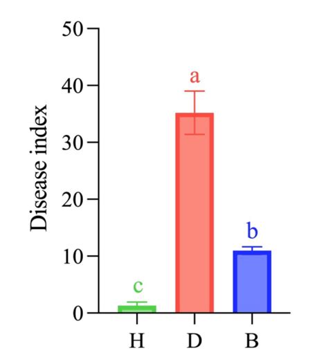 Rhizosphere Bacteriome Associated With Tobacco Black Shank Disease And Its Biocontrol With