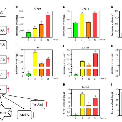 Figure Gene Expression Pattern Diagram Of Ja Metabolism And Signal