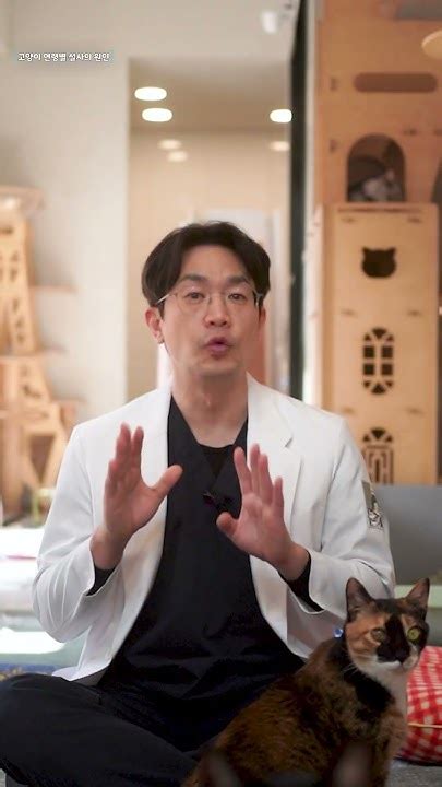 고양이 설사의 원인은 Youtube