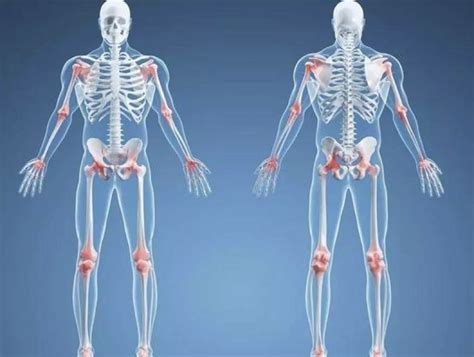 从形态到单细胞分子：生物医学中高分辨率 3d 组织学的变革性进展 生物医药产业国际合作大会