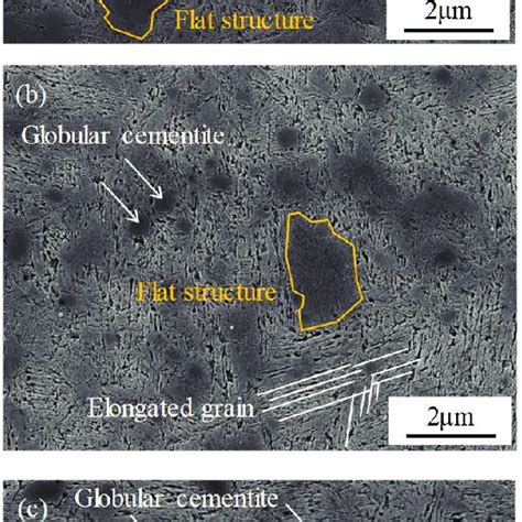 Sem Images Showing Microstructure At Z0 Depth The Number Of Cycles