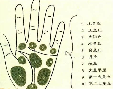 手相掌丘饱满的人有大福气 探秘志