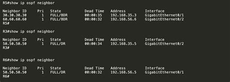 Exploring OSPF Network Types NETWORK LESSON